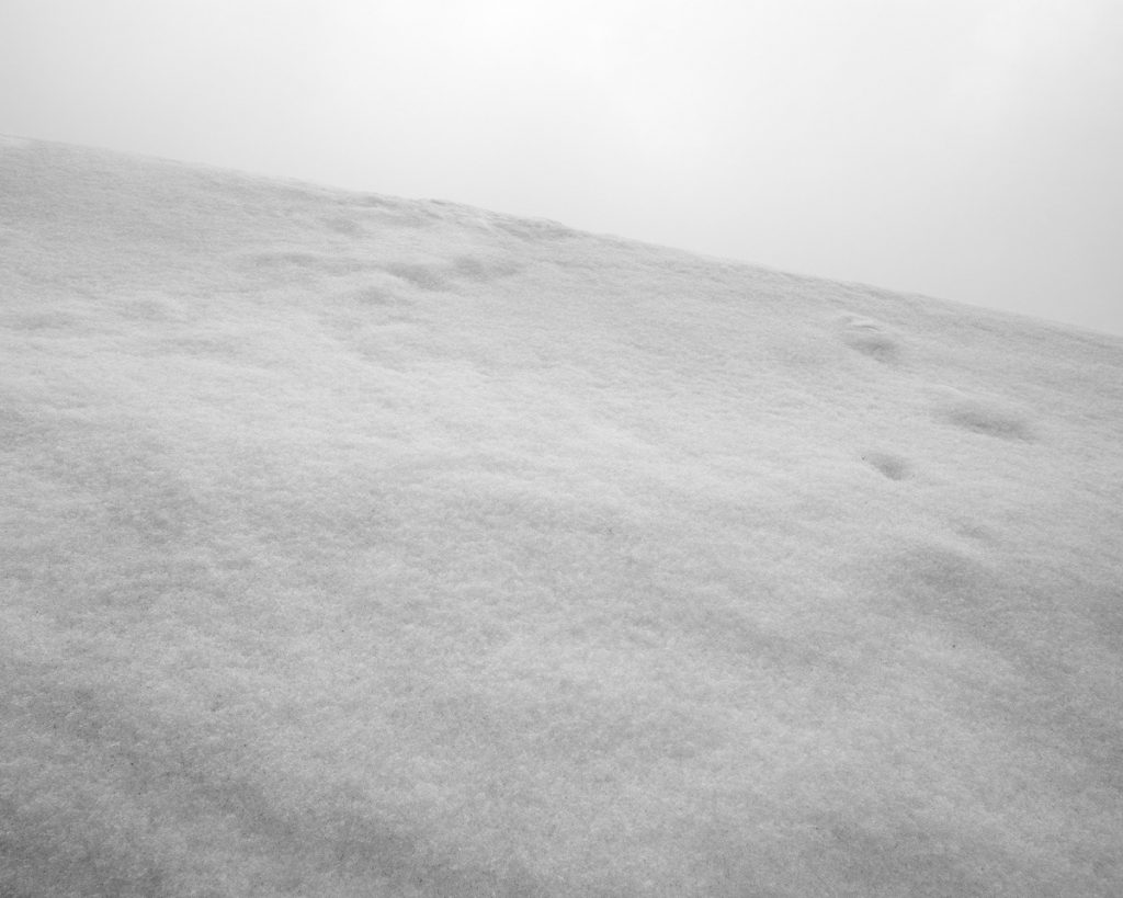 Rain Maker - Nival Zone by Dillon Marsh - Our Culture