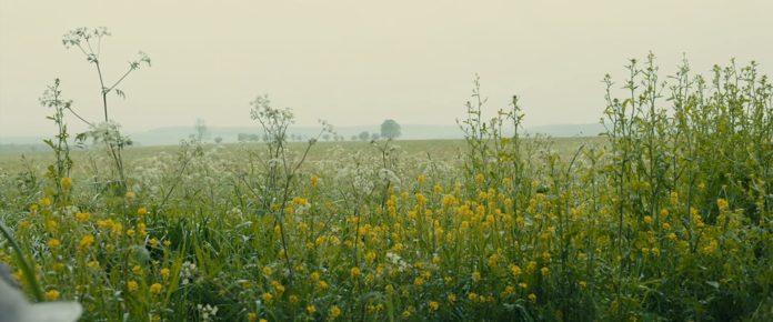 10 Stunning Stills From 1917 (2019) - Our Culture