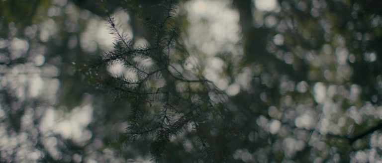 15 Captivating Stills From Arrival (2016) - Our Culture