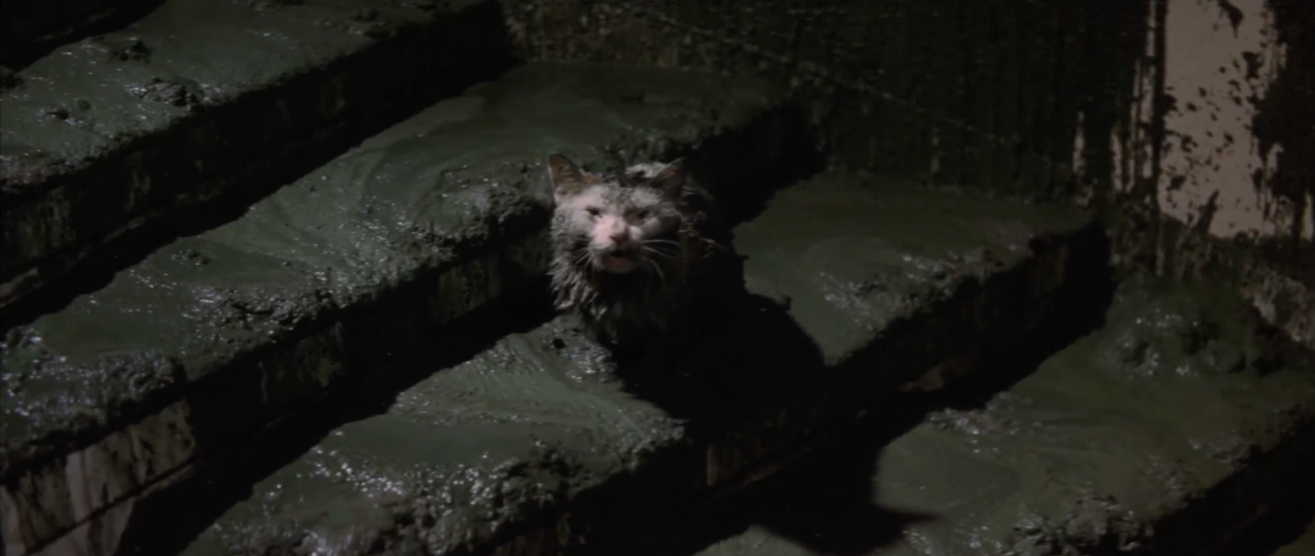 Godzilla vs. Hedorah at 50 - Our Culture