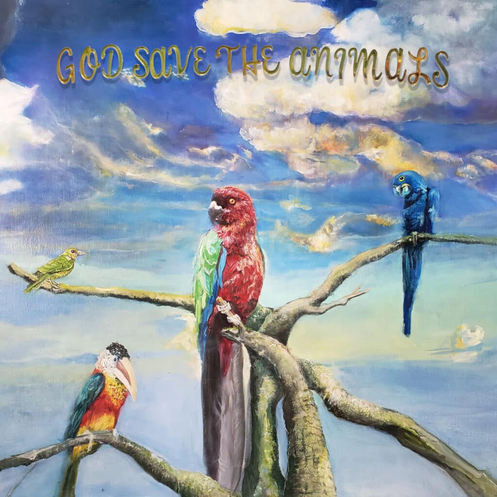 Album Review Alex G God Save The Animals Our Culture
