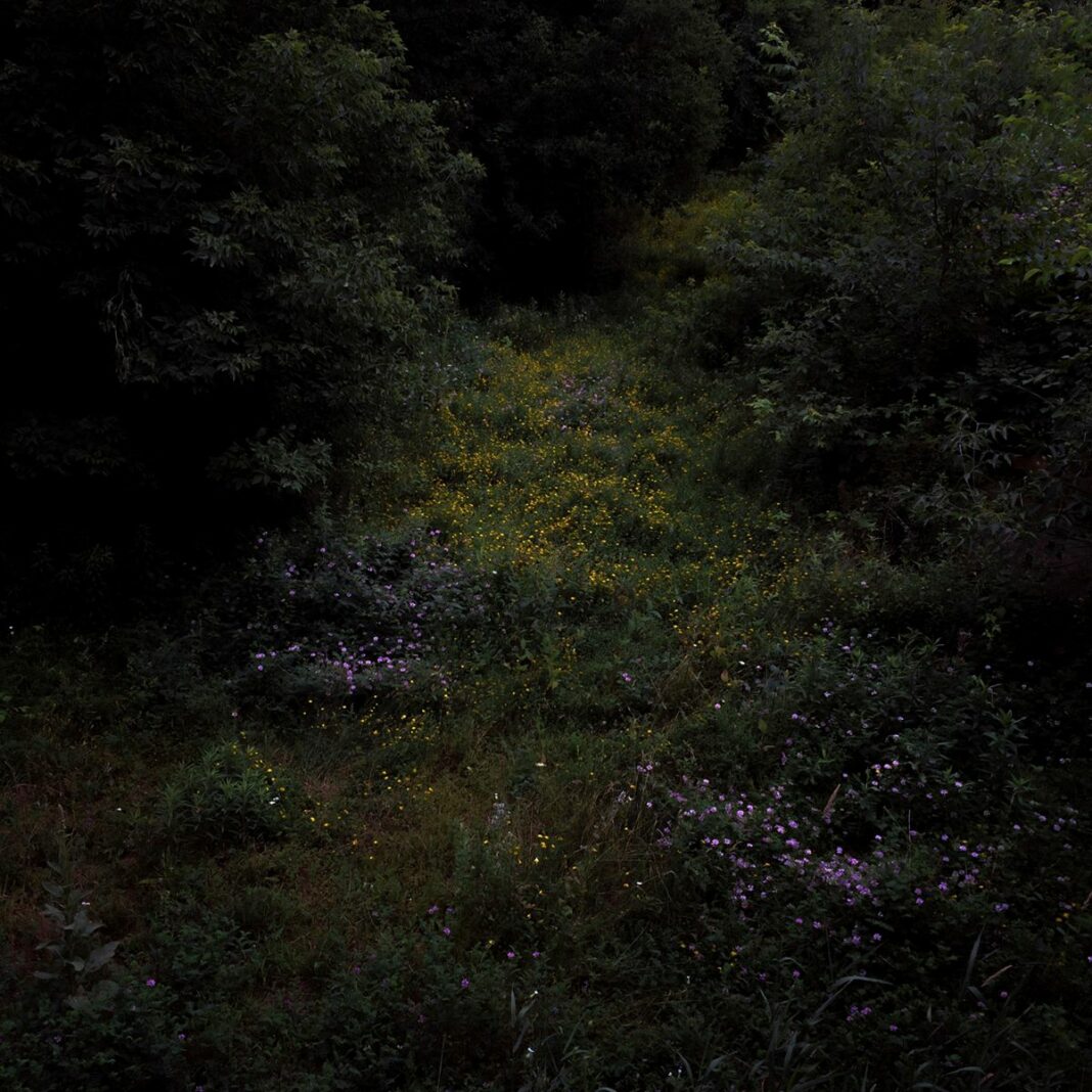 The 50 Best Album Covers of 2023 - Our Culture