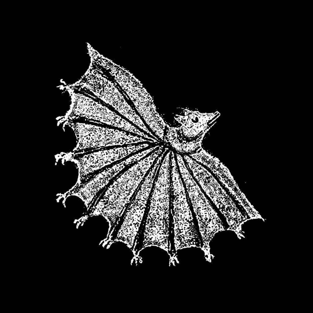 Xiu Xiu Announce New Album 'Ignore Grief', Share Video for New Single ...