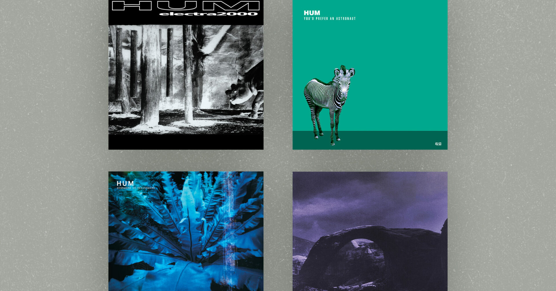 Hum Announce Vinyl Discography Reissues - Our Culture
