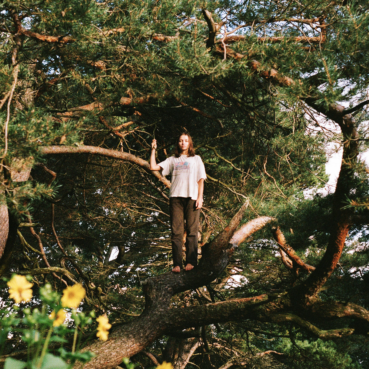 PACKS Announce New Album 'Melt the Honey', Share New Single - Our Culture