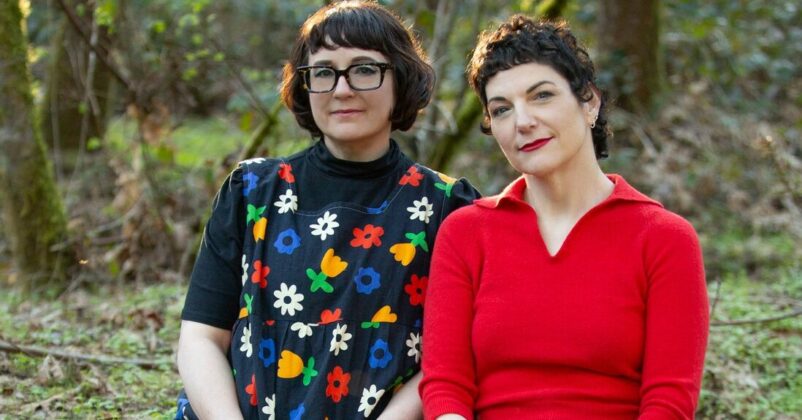 The Softies Announce First New Album in 24 Years - Our Culture