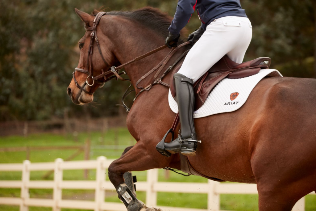 Ariat: Your Trusted Partner for Horse Riding Adventures - Our Culture