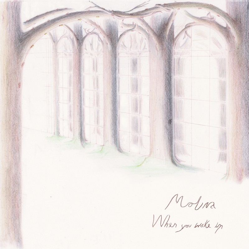 Molina Announces Debut Album, Enlists ML Buch for New Song 'Organs ...