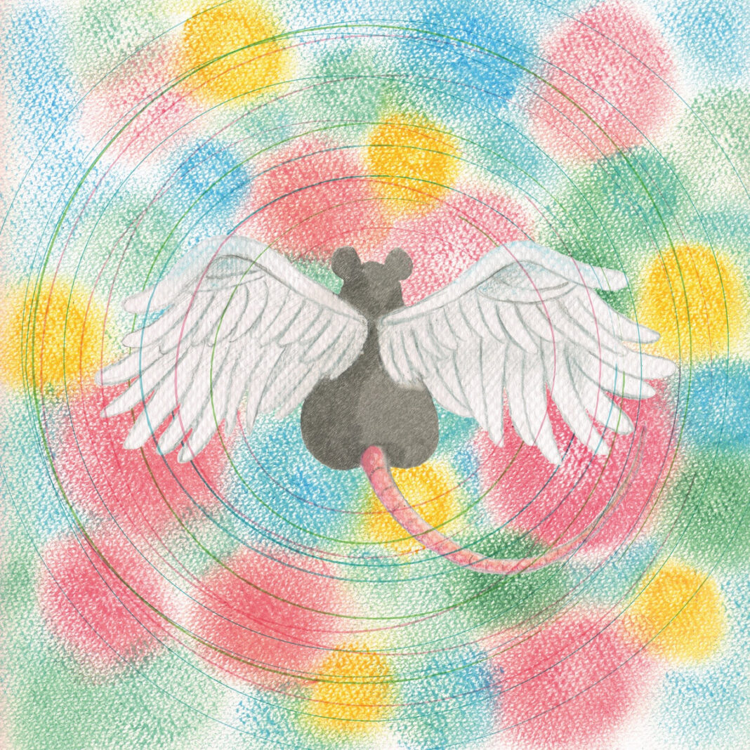 Mei Semones Announces New Album 'Animaru', Shares New Single - Our Culture