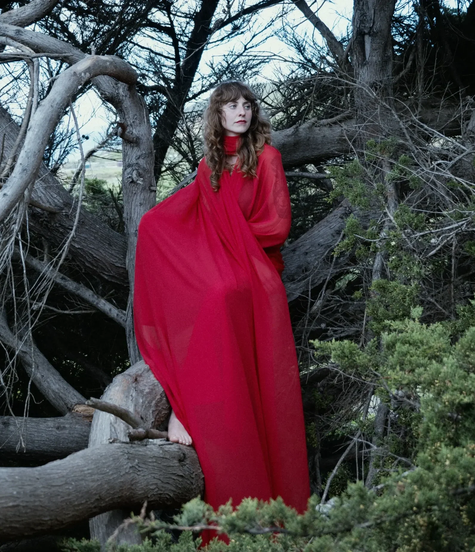 Artist Spotlight: Hannah Frances - Our Culture