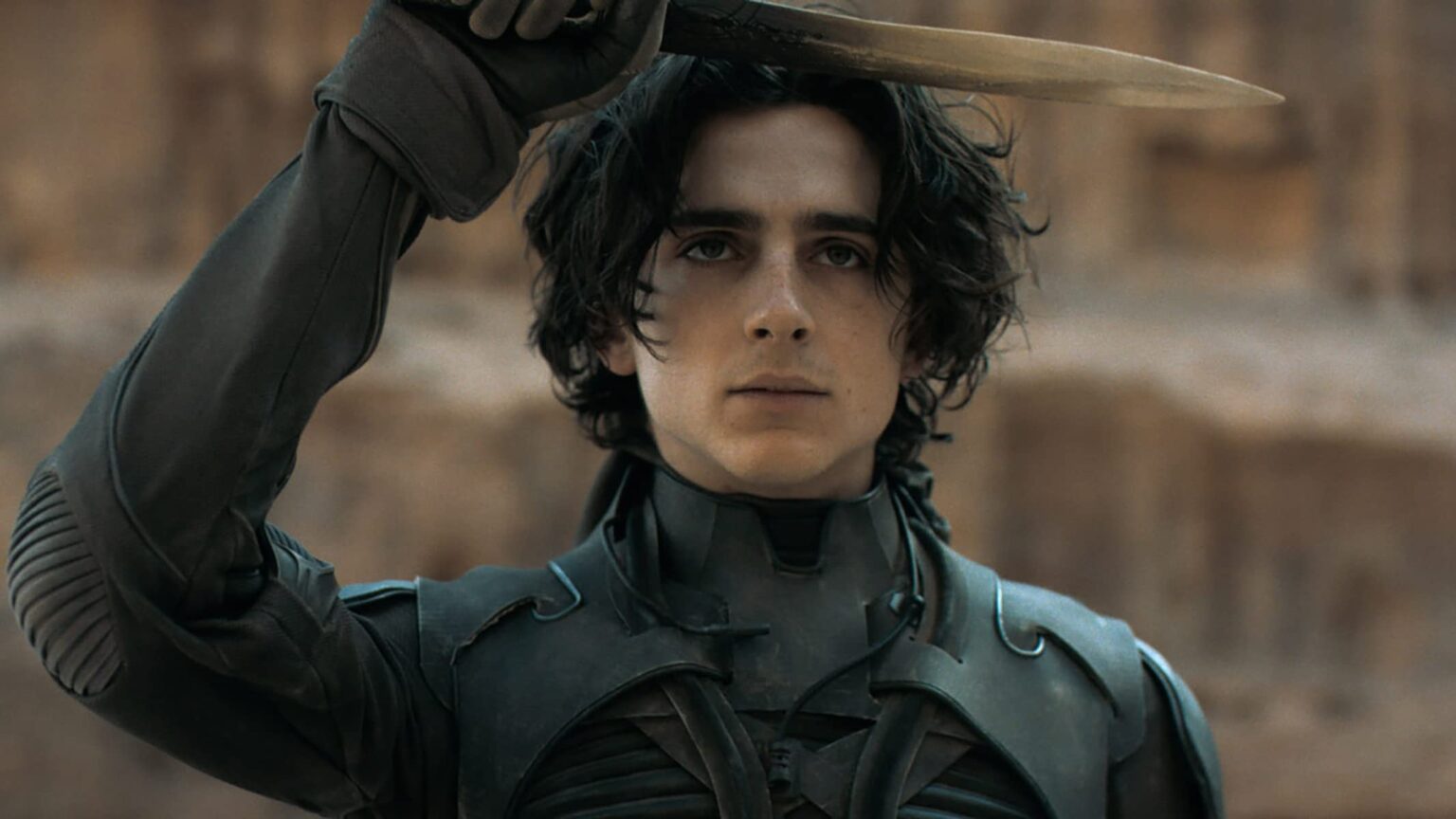 Timothée Chalamet Net Worth, Salary & Highest Grossing Movies